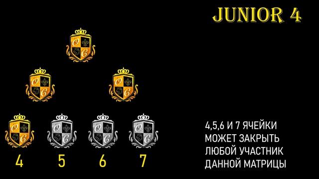 Прграмма ЮНИОР