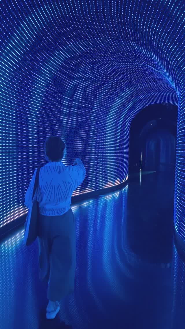 Парк Краснодар. Кроличья нора.