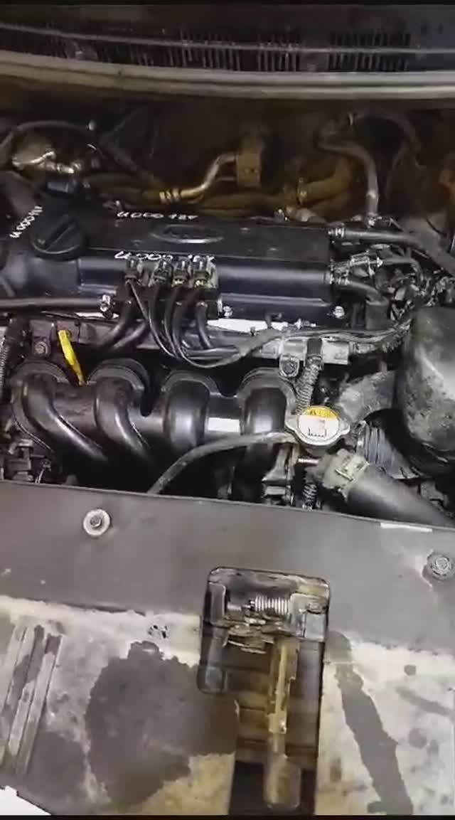 Запуск G4FC 1.6 на Kia Rio (ХМАО)