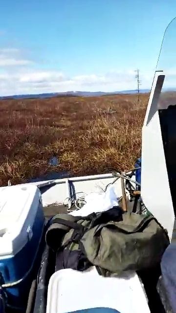 Аэролодка Нерпа видео покупателя. Приморский край