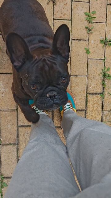 Встреча после разлуки