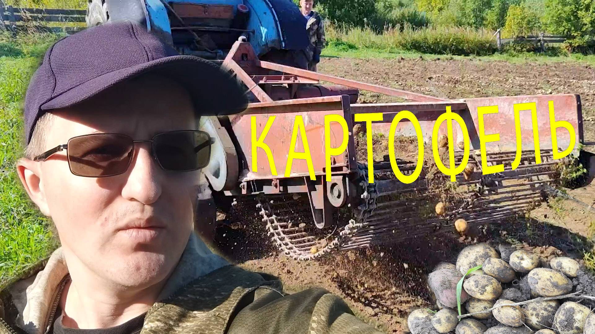 Уборка картофеля под солнцем. От поля до погреба. Делаем запас на зиму