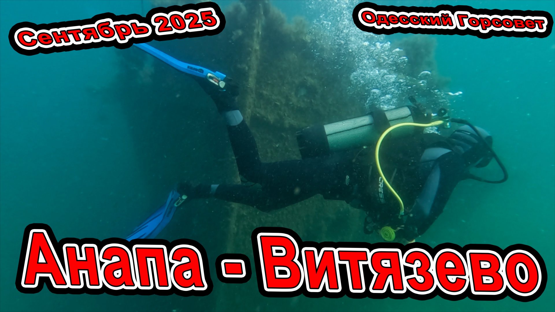 #Анапа Людей МНОГО в #Витязево Погружение затонувший корабль Одесский Горсовет Дайвклуб Dive Life