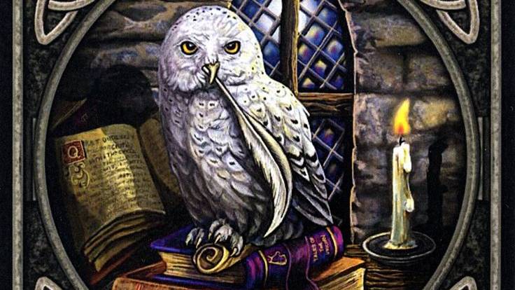 Кто скрывается под маской