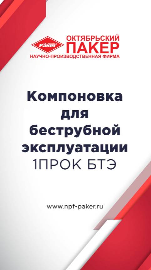 Компоновка для беструбной эксплуатации - 1ПРОК-БТЭ