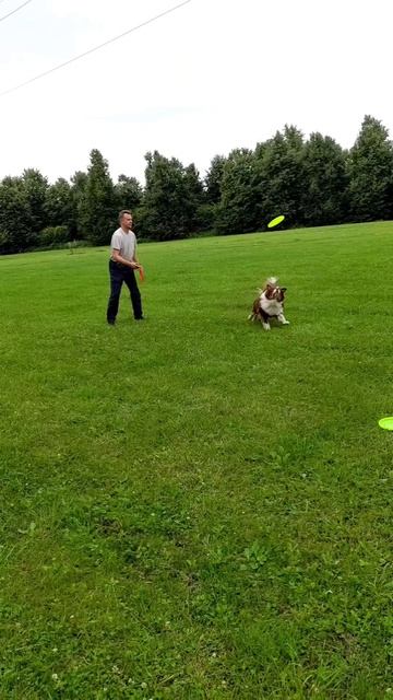 АО Байрон - управление на расстоянии - зиг-заг