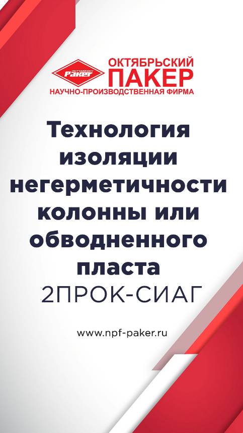 Технология изоляции негерметичности колонны или обводненного пласта 2ПРОК-СИАГ