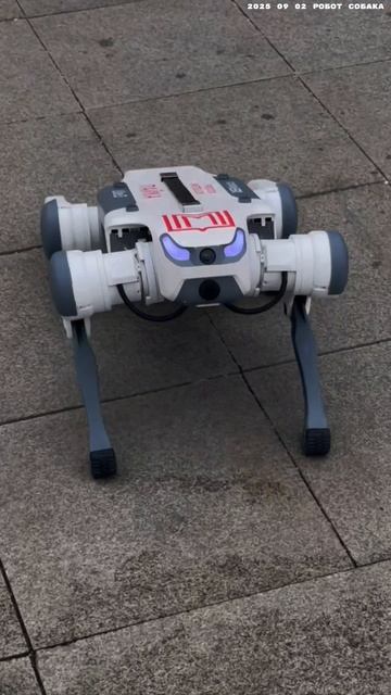 2025 09 02 БУДУЩЕЕ НАСТУПИЛО 4K.mp4