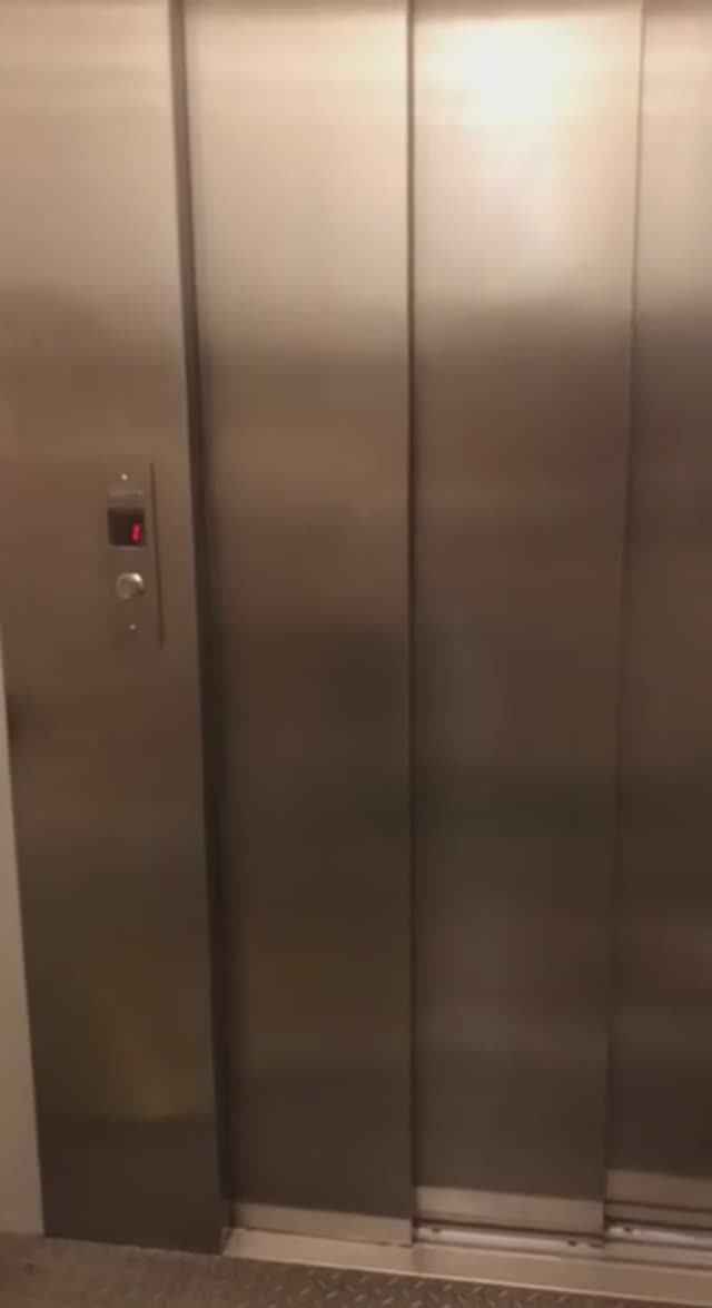 Побывали в Эрмитаже