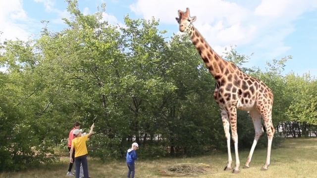 Спецэффекты-2 (Зоопарк) - дети (семья Зеграчёвых)