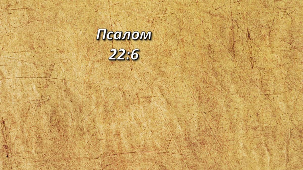 Стих дня. Псалом, 22;6.