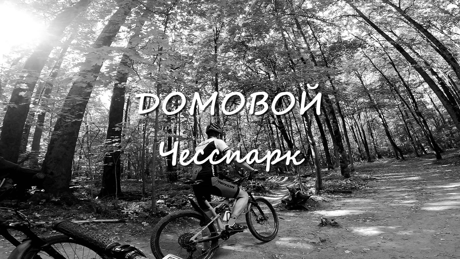 Трейл ДОМОВОЙ. Сентябрь 2025.