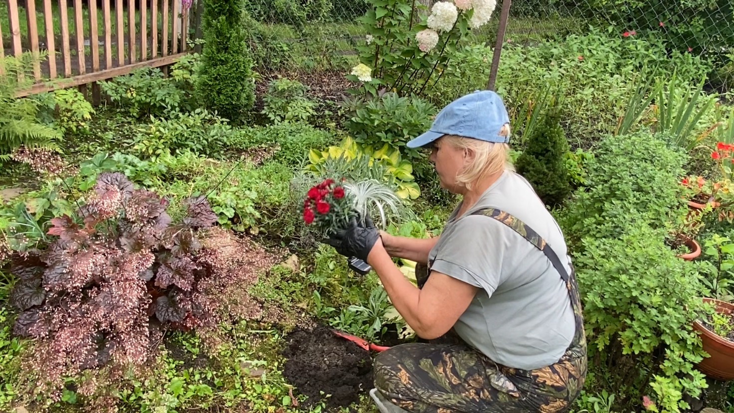 Осенние работы на даче в канун 1 сентября 2025