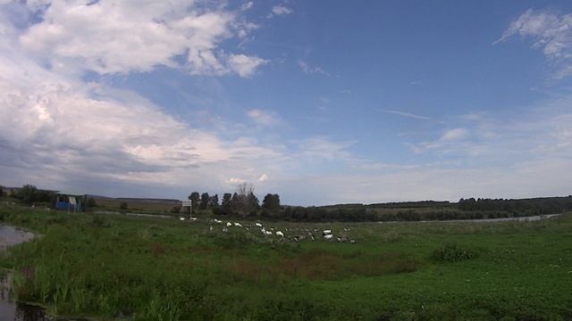 2025_08_18_2698_2711_Юрюзань_Куселярово