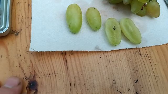 г.ф. Мальчик с пальчик Калугина В.М. на 08.09.2025 года