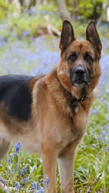 Захаров на кольцевой... представляет реализ,, респект и уважение к артисту...