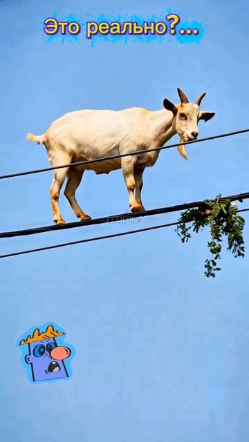 Экстремал | Подпишись друг