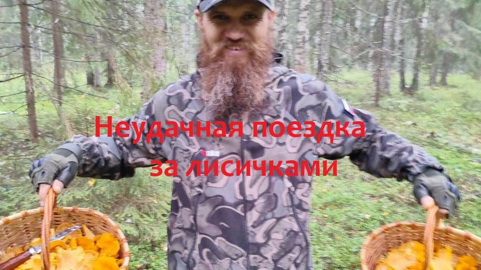 Неудачная поездка за лисичками