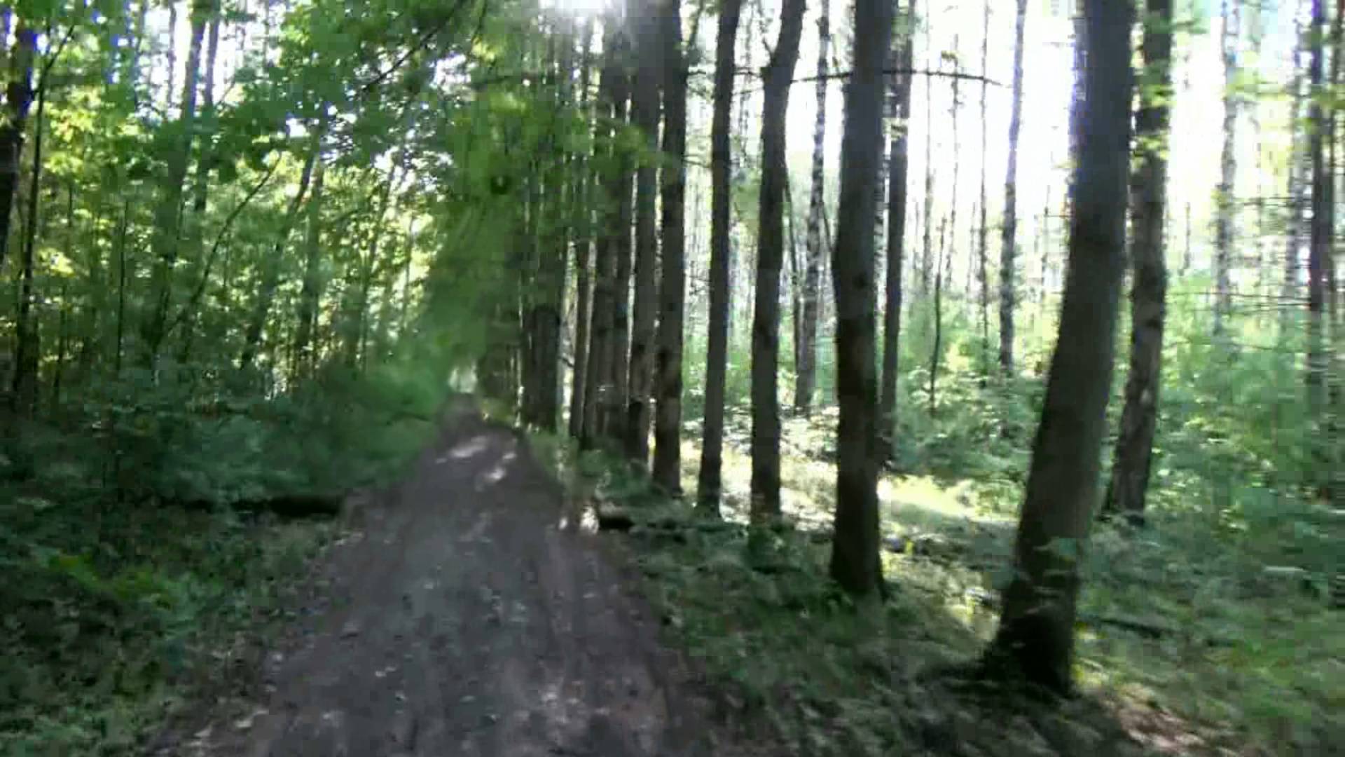 Велопрогулка по лесопарку Комзяки. Город Вязники