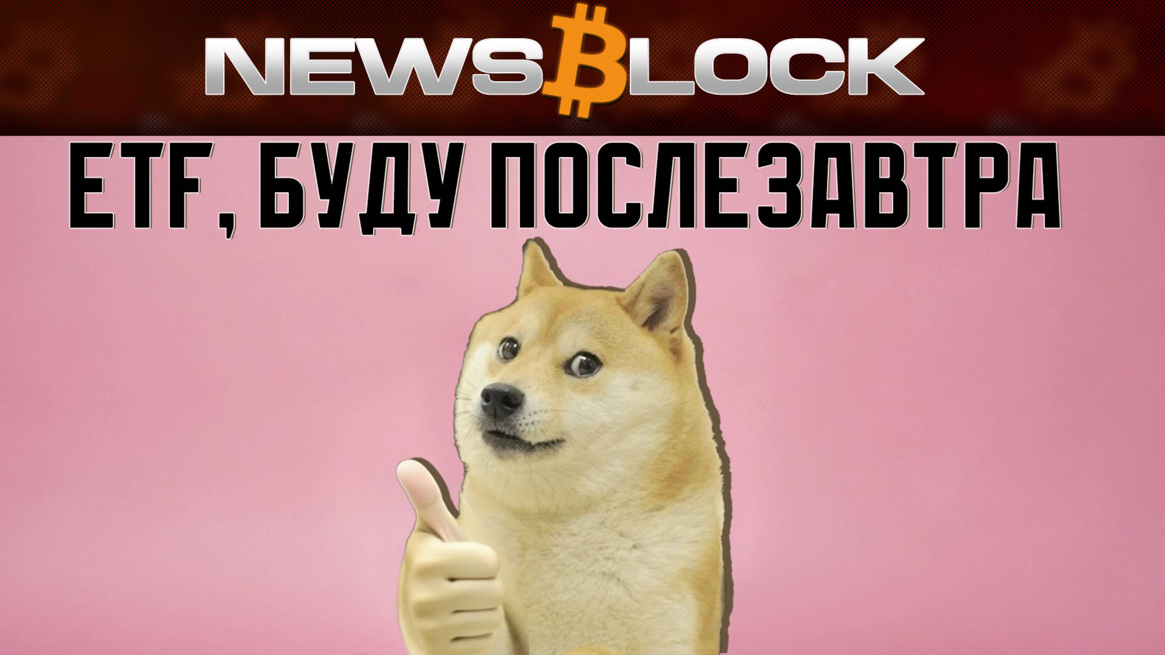Мемкоин DOGE ETF Уже ПОСЛЕЗАВТРА! Впервые в Истории!!!