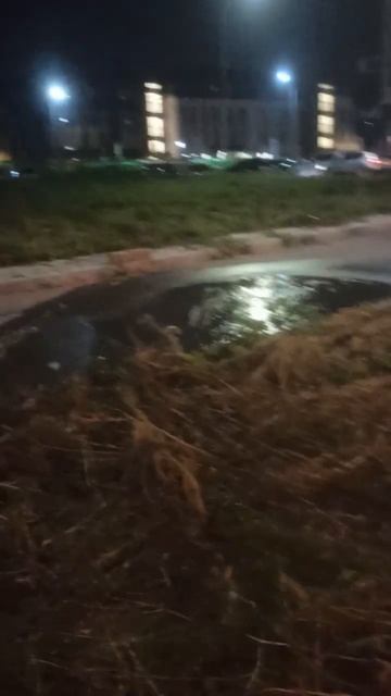 гейзер из эфикалий, , рабочий момент ...