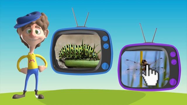 Bugs Part 2 _ What Do You See  Song Animation _ Dream English Kids