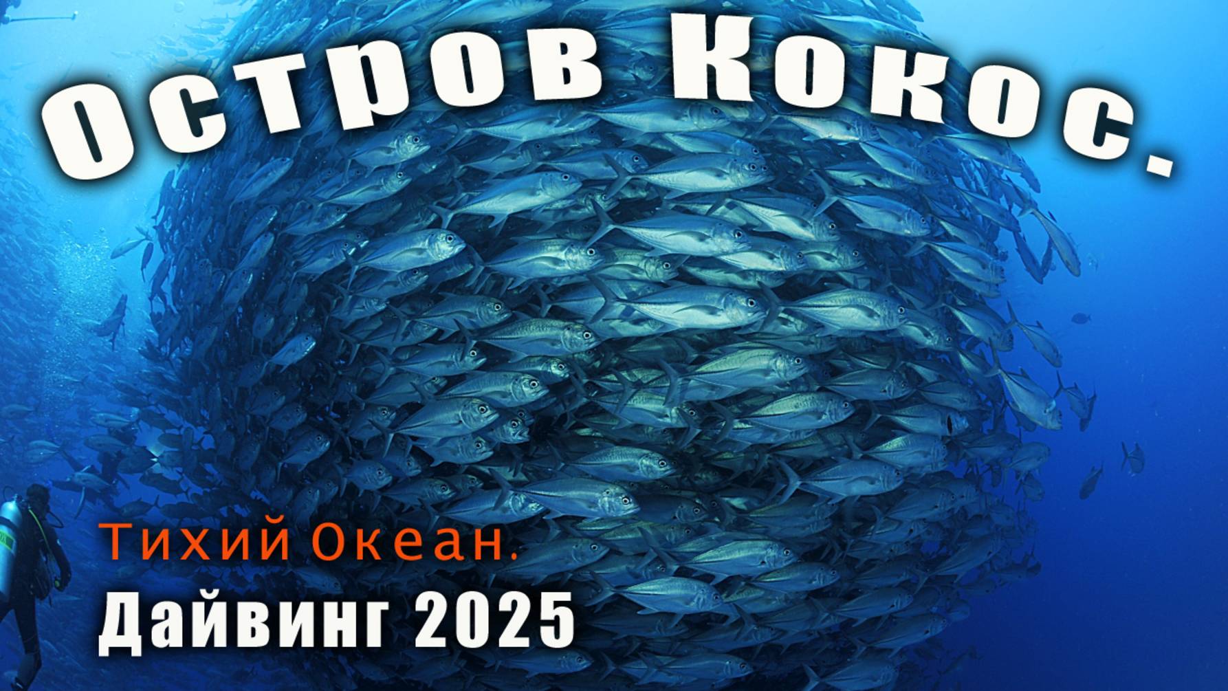 Дайвинг. Остров Кокос. Август 2025 г.
