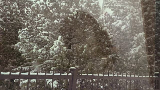 Я ревную тебя