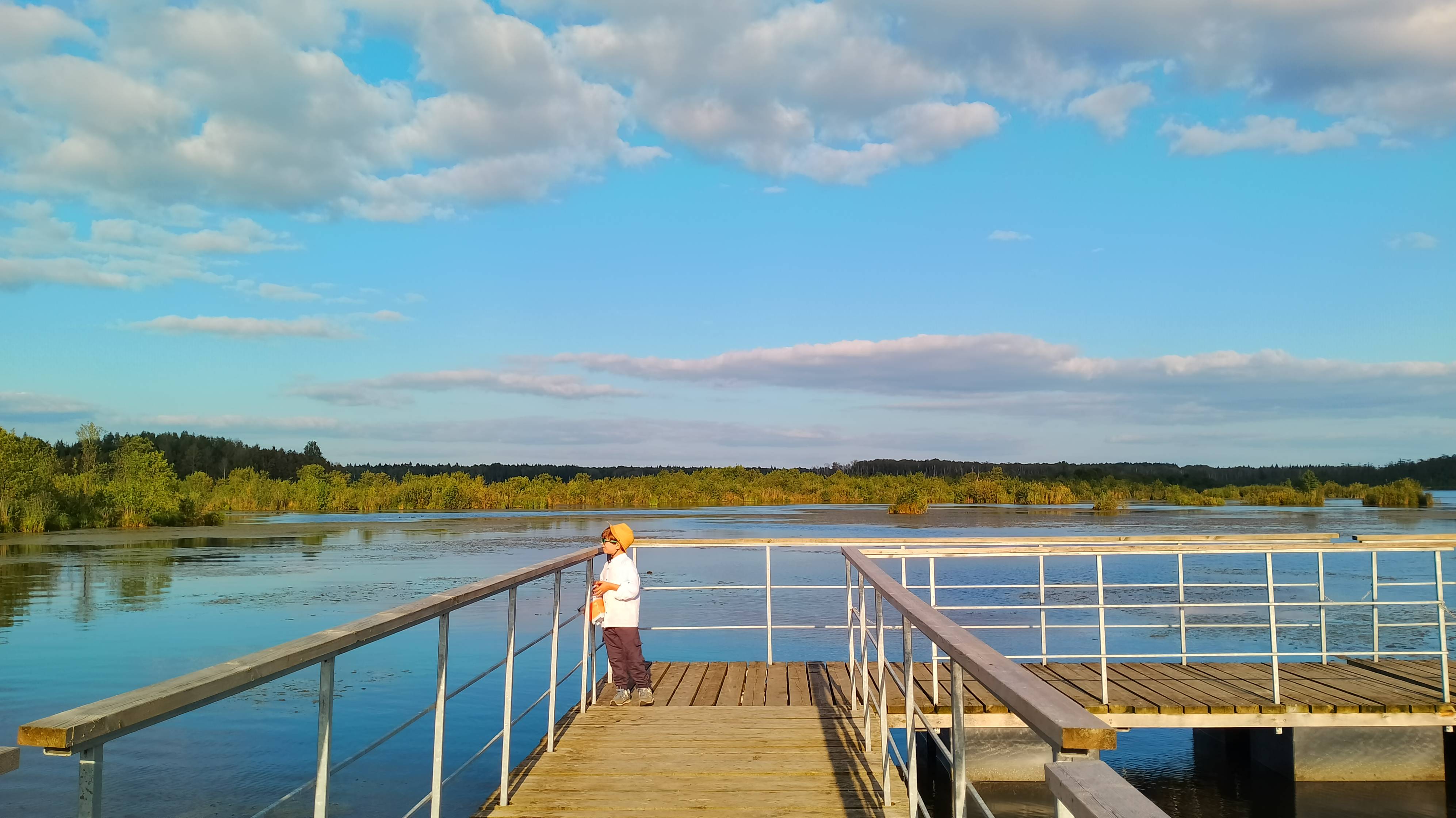 Орнитологическая тропа, Лосиный остров 07.09.2025