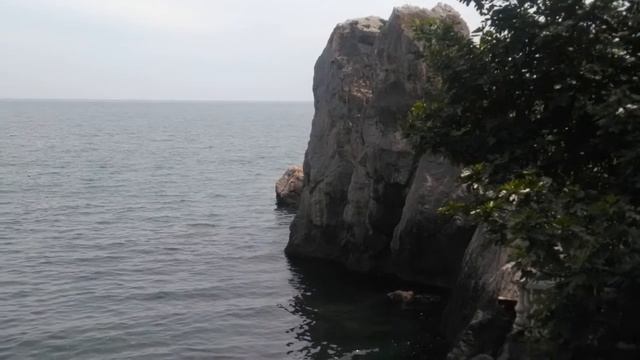 Гурзуфский парк. Май 2018 года.