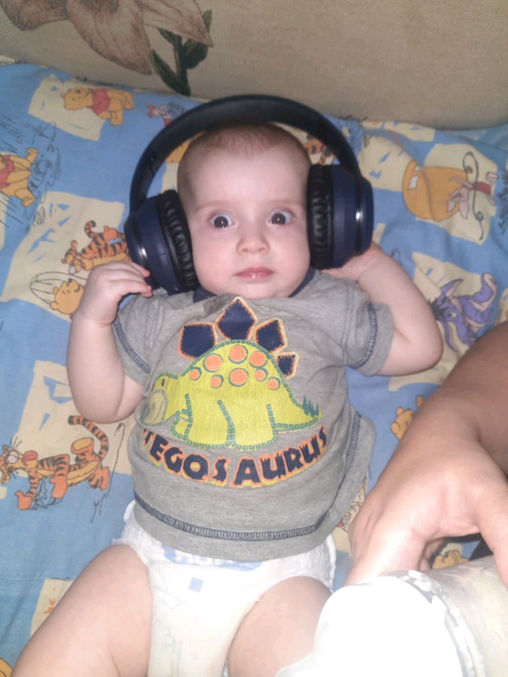 веду трансляцию