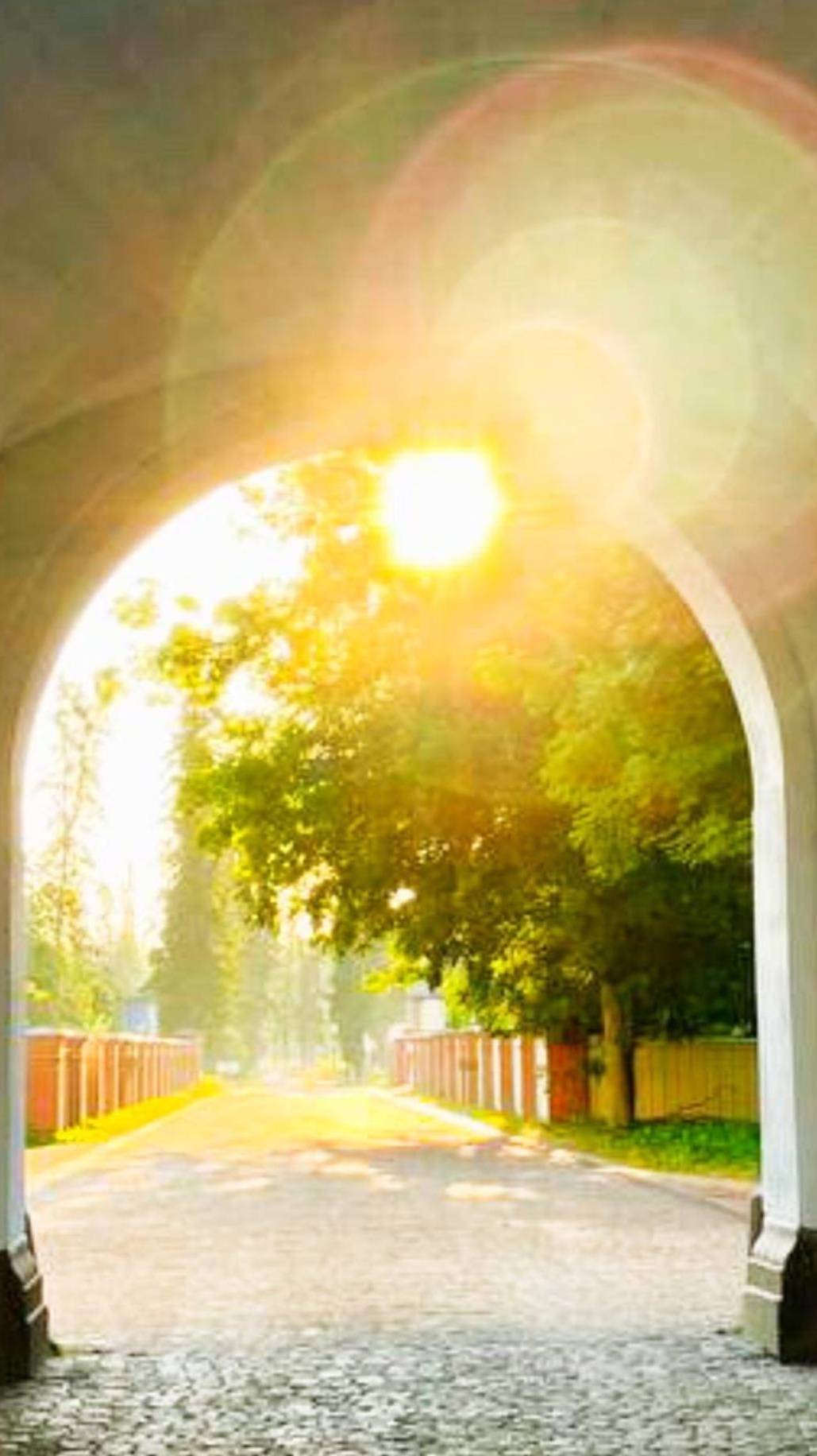 ЦИТАТЫ О ЛЮБВИ | СВТ ИОАНН ЗЛАТОУСТ #вечная_любовь #вечнаялюбовь #цитаты_о_любви #цитатыолюбви