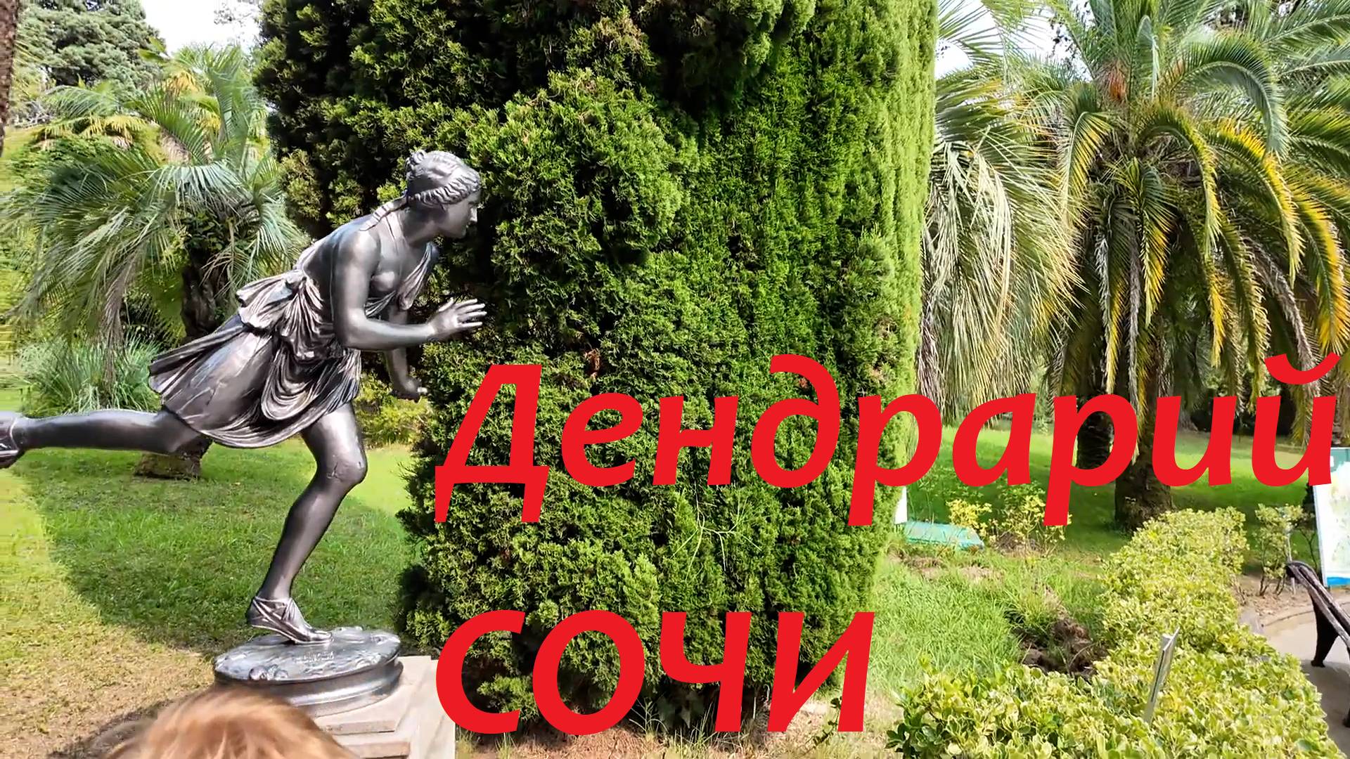 Дендрарий Сочи