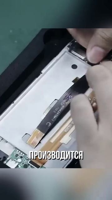 ШАХ и МАТ от НАШЕГО В.В.ПУТИНА!