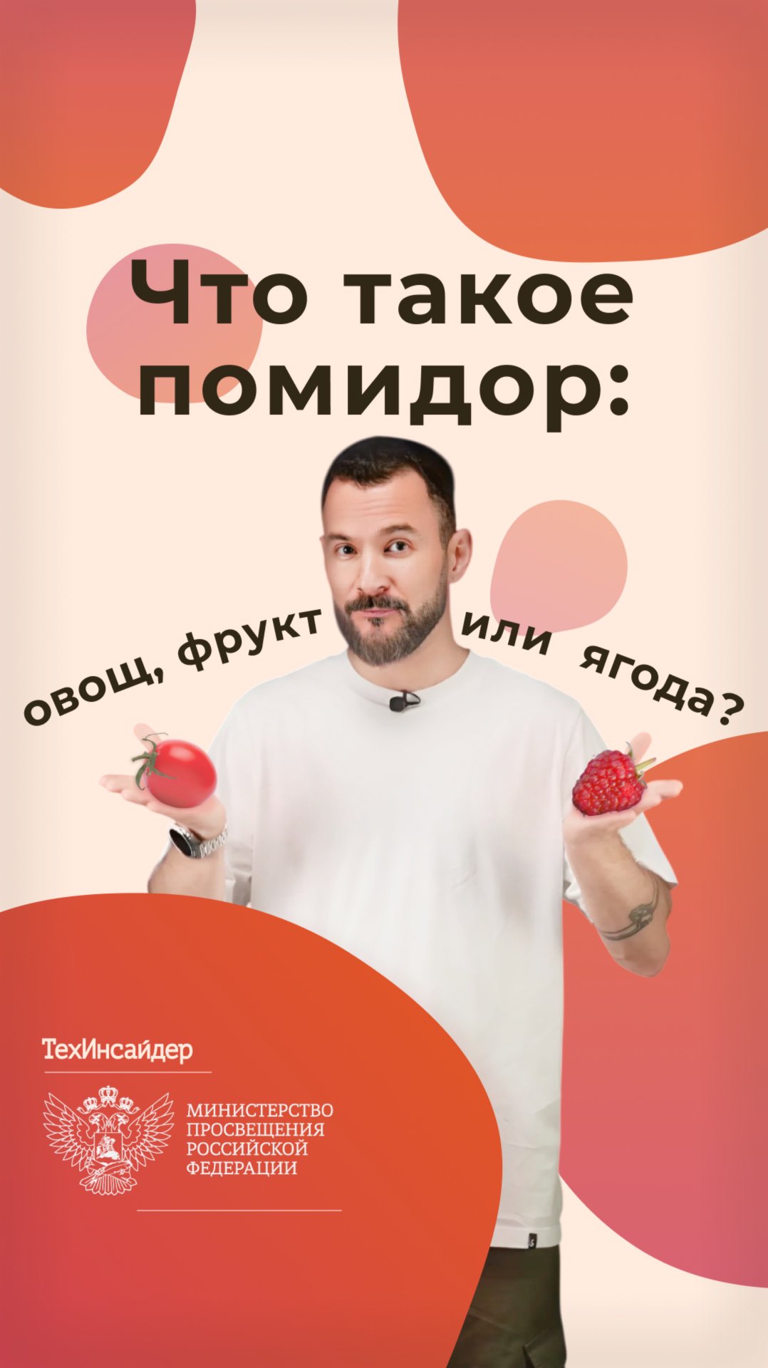 Что такое помидор: овощ, фрукт или ягода?