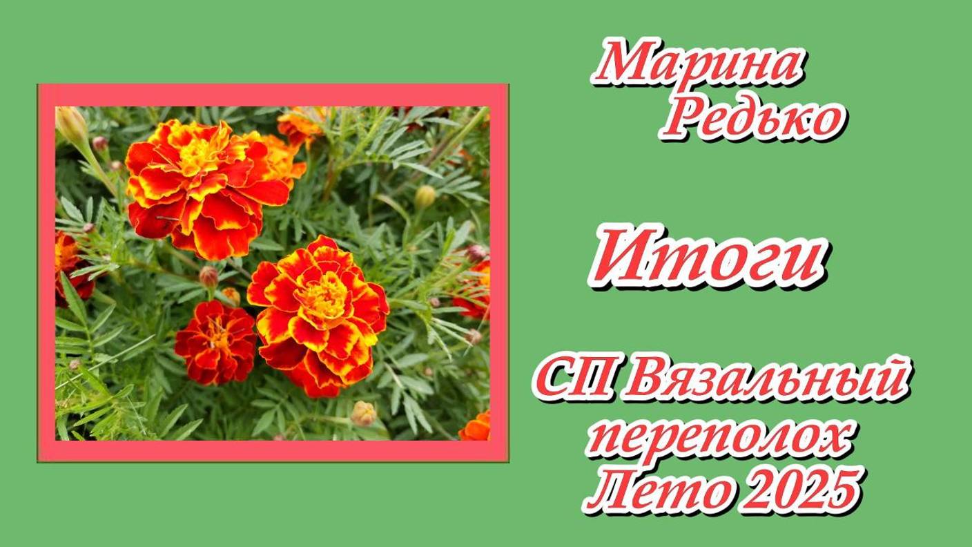 СП "Вязальный переполох. Лето 2025" / Итоги