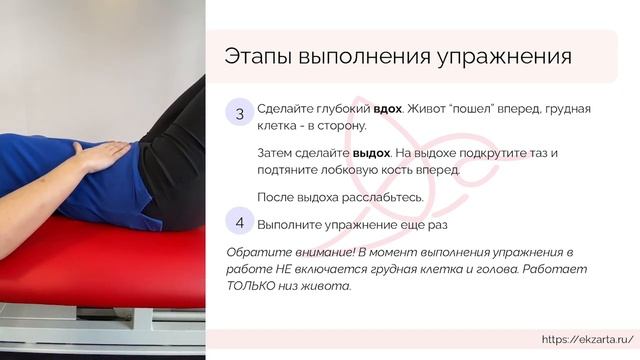 Недержание мочи у женщин: диагностика тазовой диафрагмы и полезные упражнения для ее укрепления