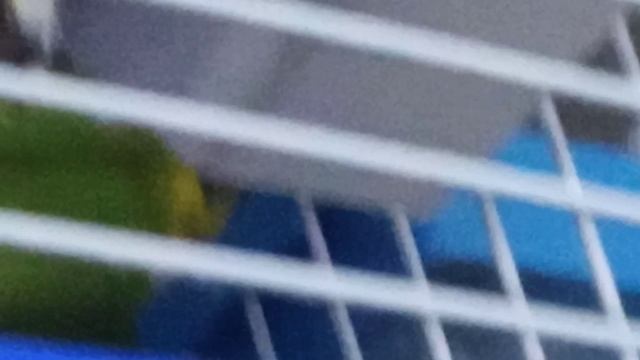 остаются на земле 5 серия 1 сезон