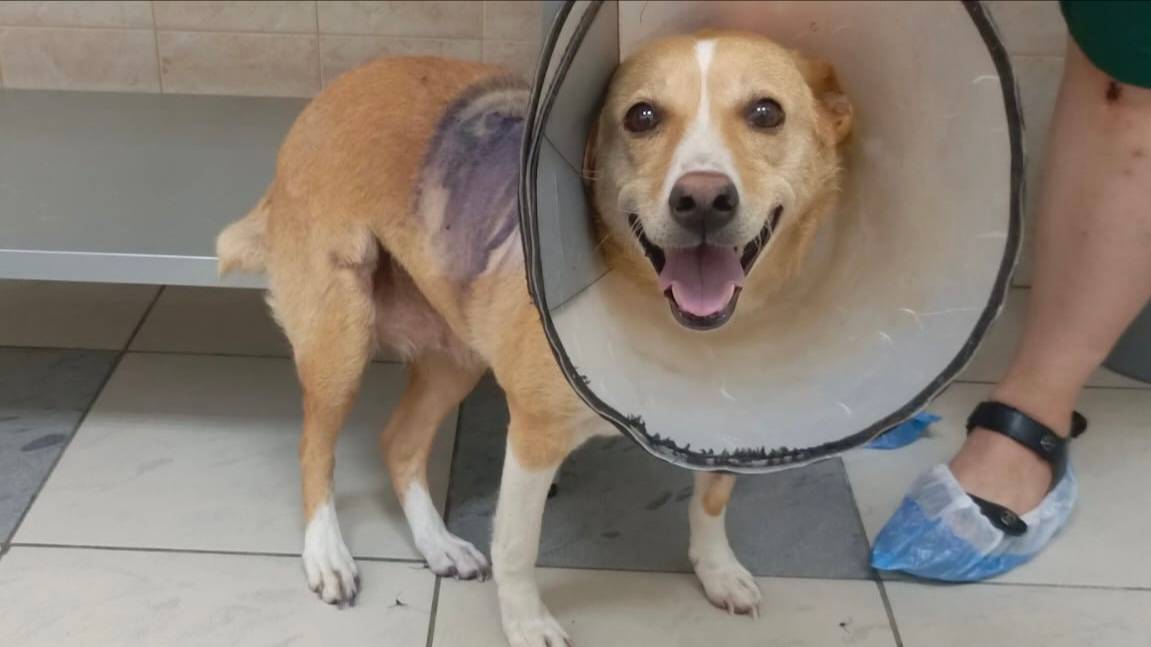 Марисе сняли швы