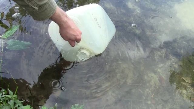 Муромцево  10 сентября  2025г с Курганка Родник оз.Данилово.