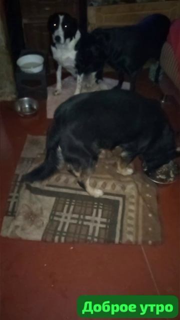 Передержка 40+4.Найз,Клеппи,Дружок, Челси.