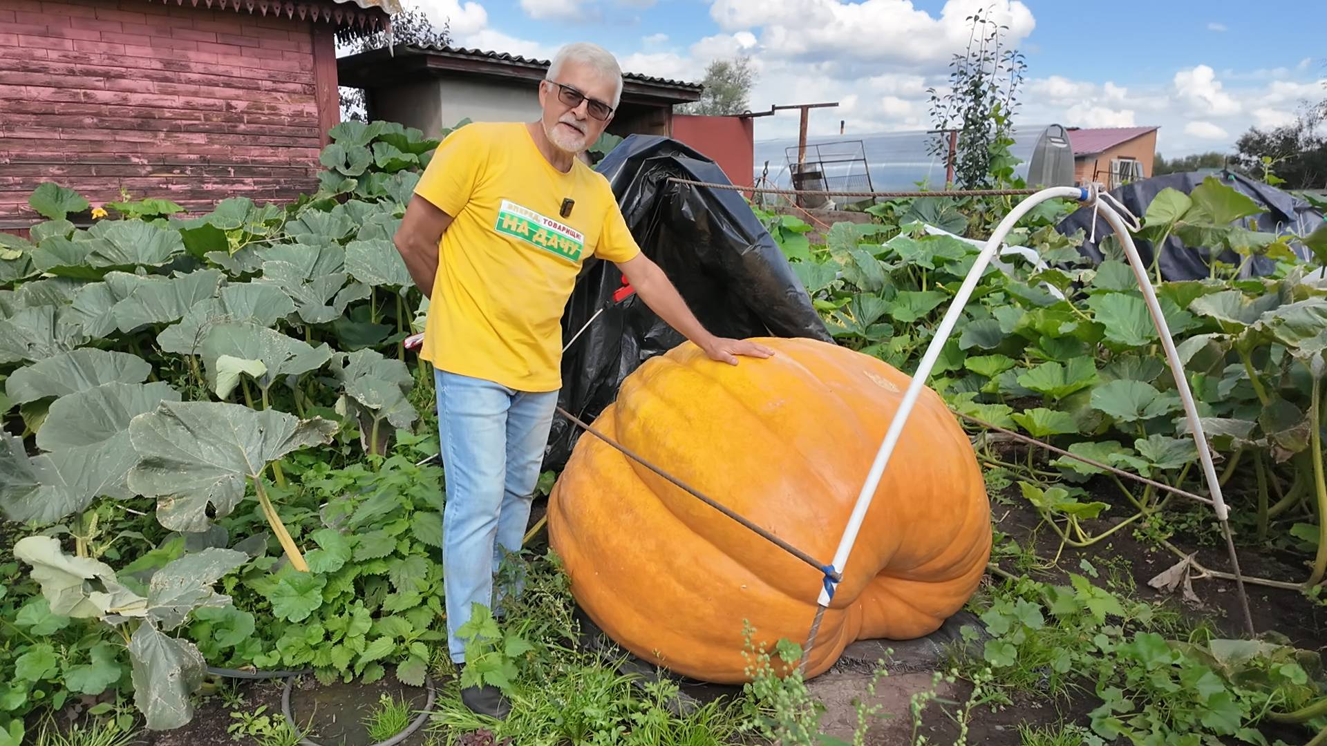 Вперёд, товарищи! На дачу! Выпуск от 09.09.25