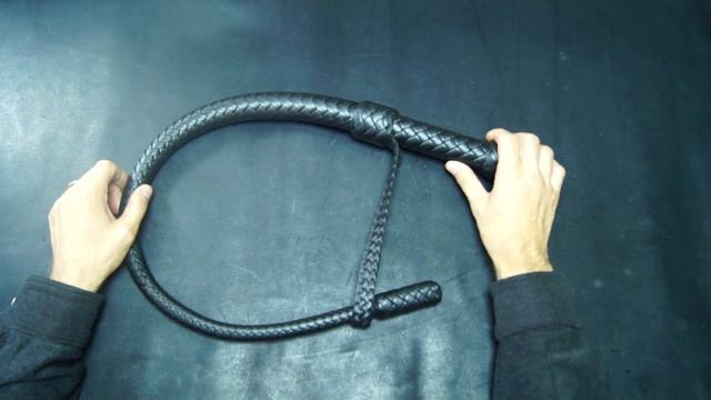 Кубанская нагайка(боевая) в Элисту.