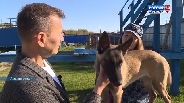 Вести Поморья_Россия 24_Доброе утро, Поморье_Пополнение кинологической службы УФСИН