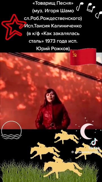 Товарищ Правда 🫡