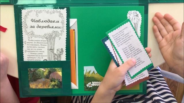 Лэпбук "Деревья"