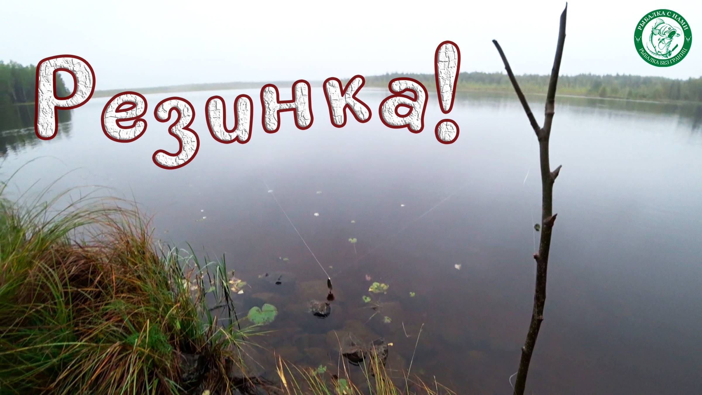 ВЫСТАВИЛИ РЕЗИНКУ И ТУТ ЖЕ ПОКЛЁВКА! ЩУКА, ОКУНЬ НА ЗАБЫТУЮ ДЕДОВСКУЮ СНАСТЬ, ЛЕСКА РЕЖЕТ ПАЛЬЦЫ!