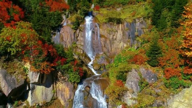 Эдгар Туниянц. Безответная любовь.