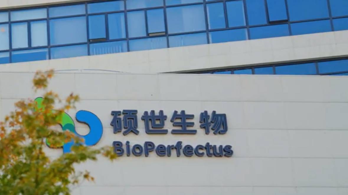 История развития BioPerfectus