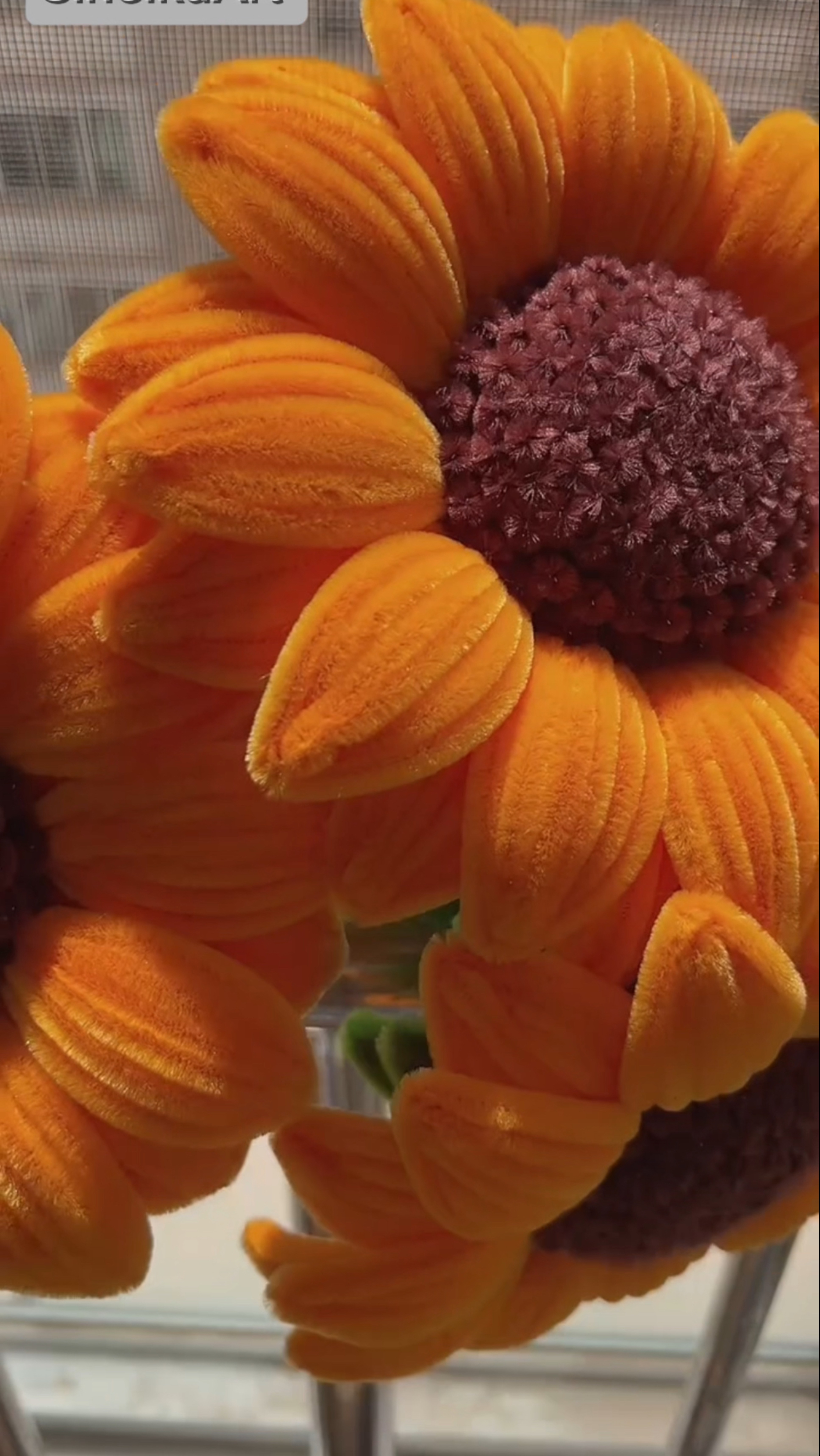 Цветы, которые никогда не завянут! Идея подарка ко Дню Учителя🌻